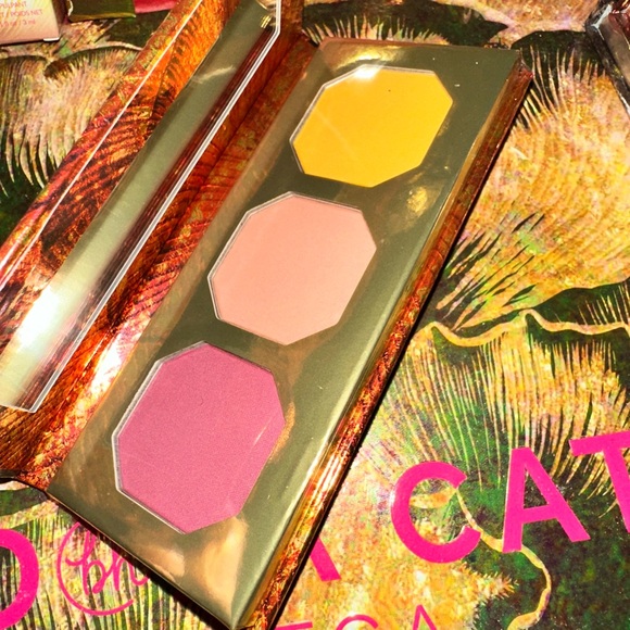 BH Cosmetics | Makeup | Htf Bh Cosmetics X Doja Cat Mega Set W Gold Bag ...